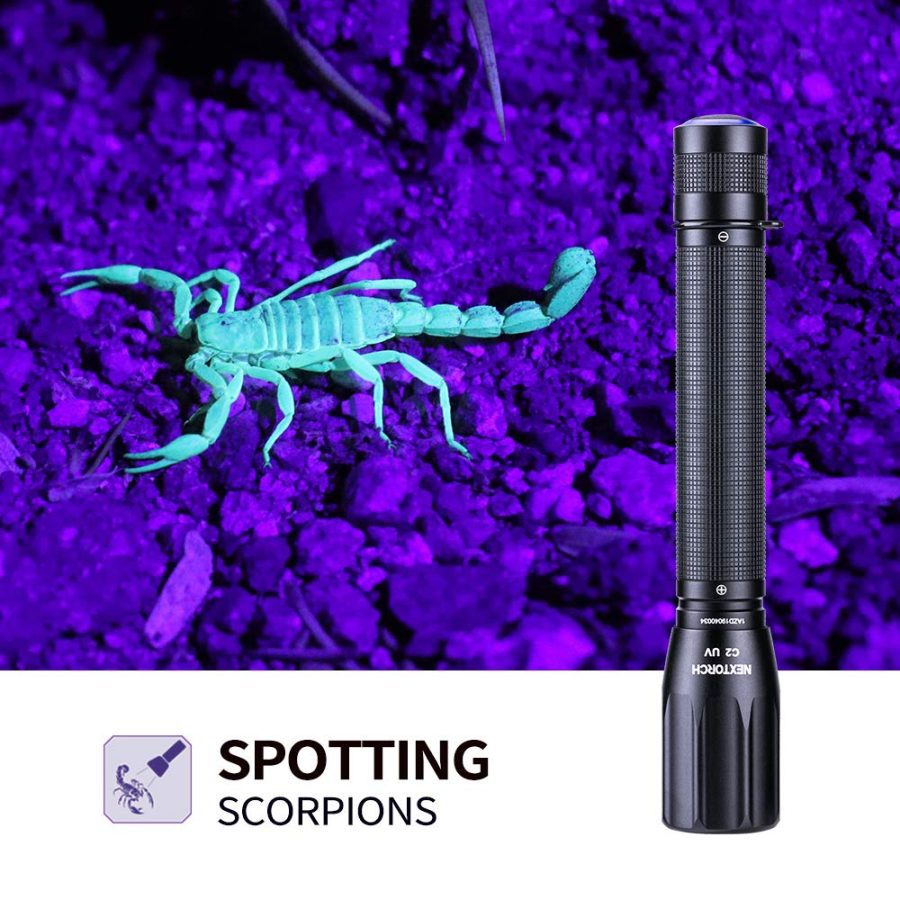 פנס-NEXTORCH C2-UV 2AA UV Light LED Flashlight - Go Fishing